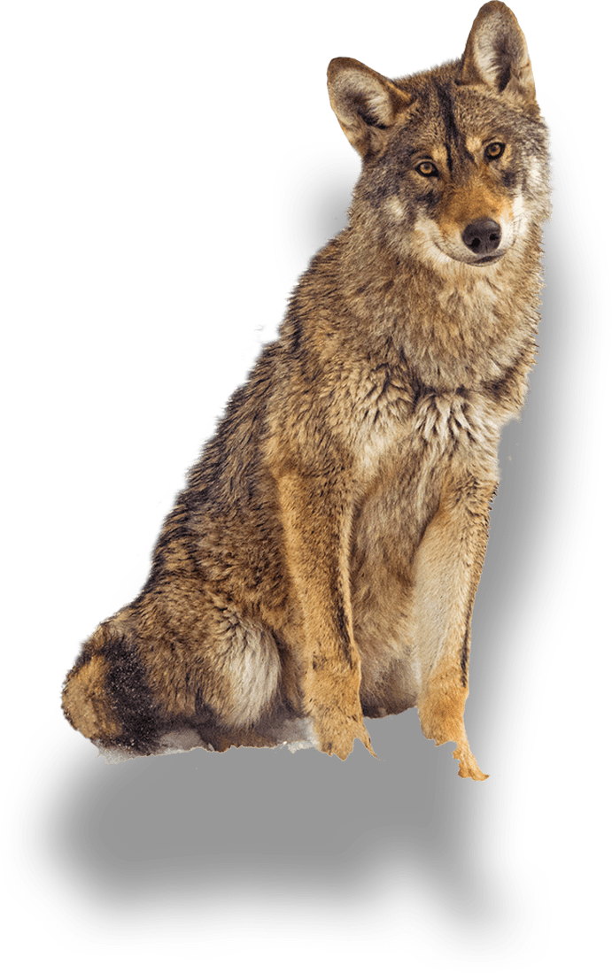 Home - Çukur Partners